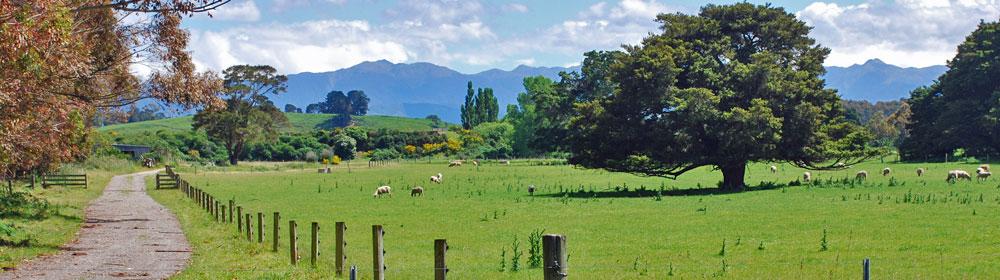 RV Explorer - Gladstone Public Reserve